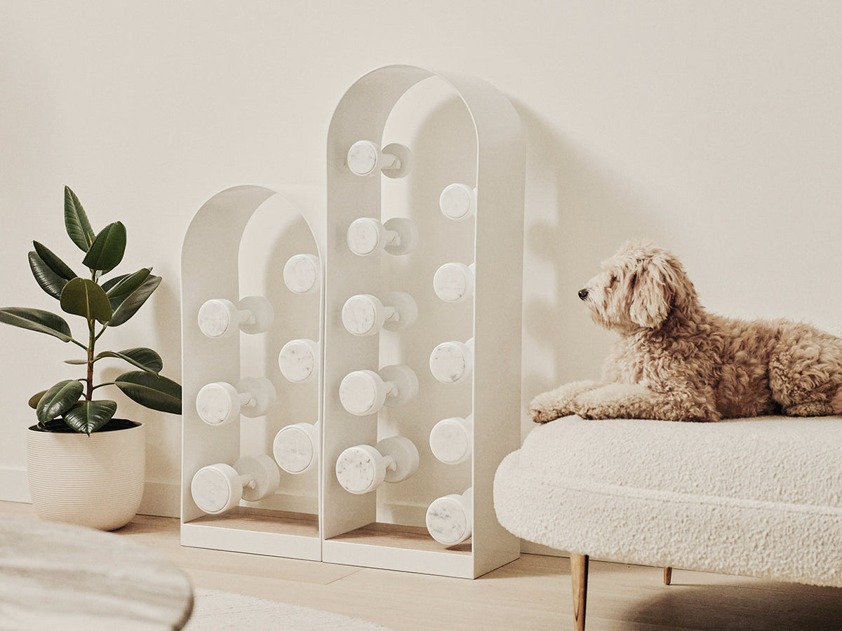 The Arc™ – Lifted Movement